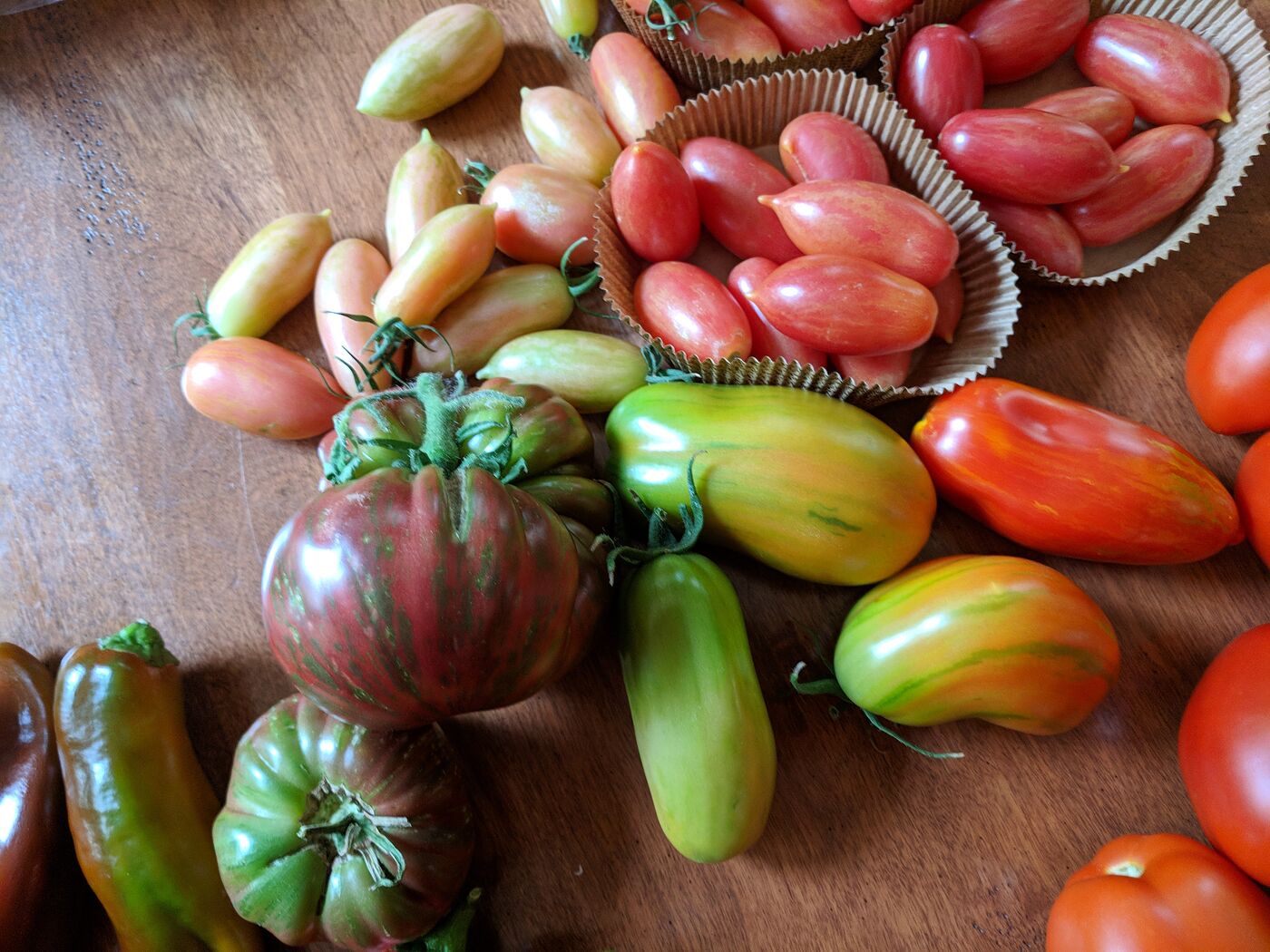 Striped tomatoes - Food Gardening, Foraging - Hungry Onion