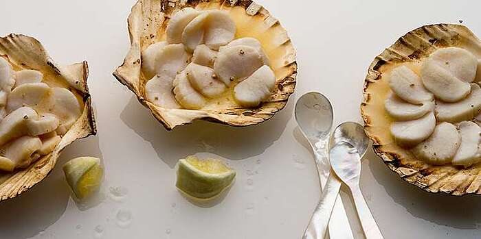 Scallop slicing prep? - Cooking, Cookbooks, Ingredients - Hungry Onion