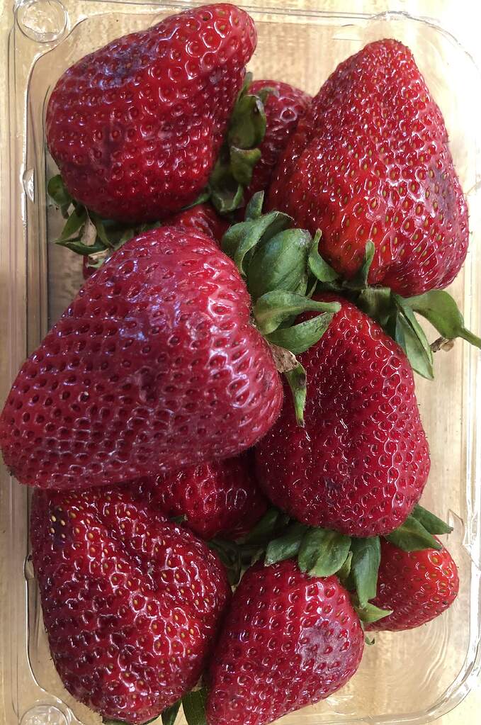 Gorgeous local organic strawberries - Cooking Discussions - Hungry Onion