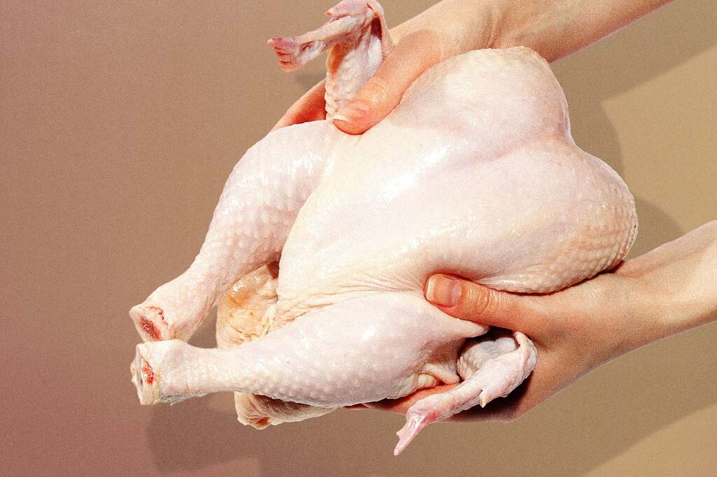 Medium rare chicken?!? - Page 4 - Cooking, Cookbooks, Ingredients ...